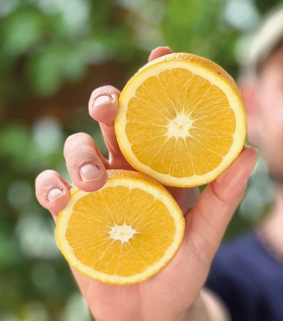 Arance Navel BIOLOGICHE SICILIANE DA SPREMUTA